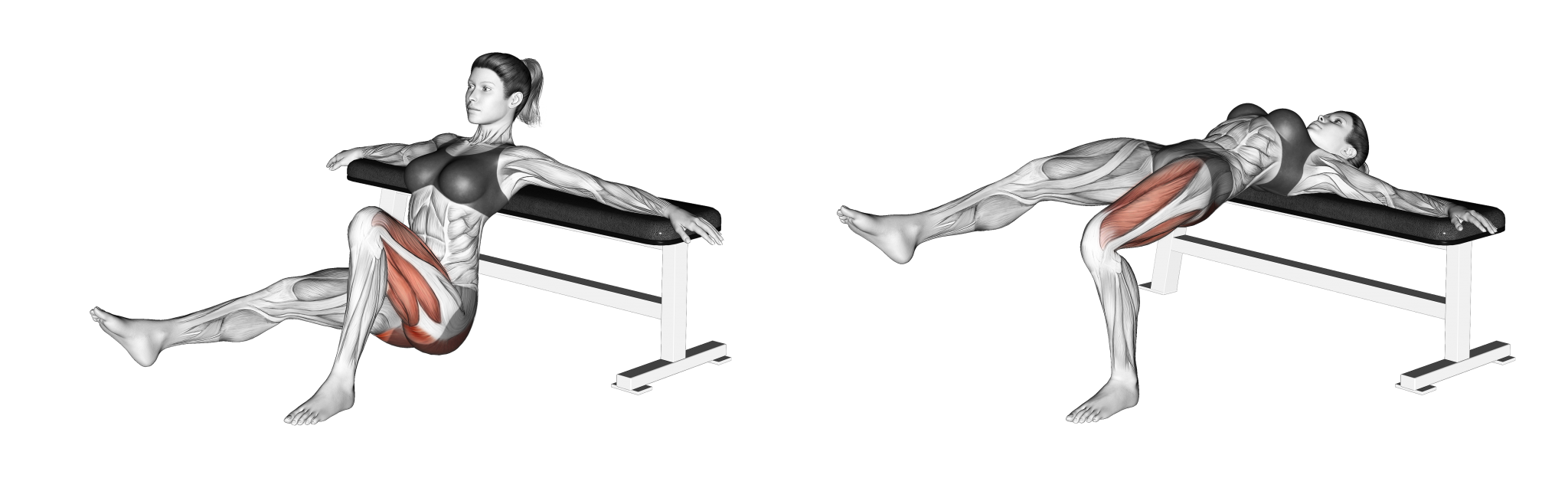 7 Best Hip Thrust Variations (with Pictures!) - Inspire US