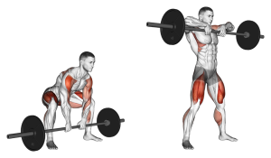 7 Best High Row Machine Alternatives (with Pictures!) - Inspire US