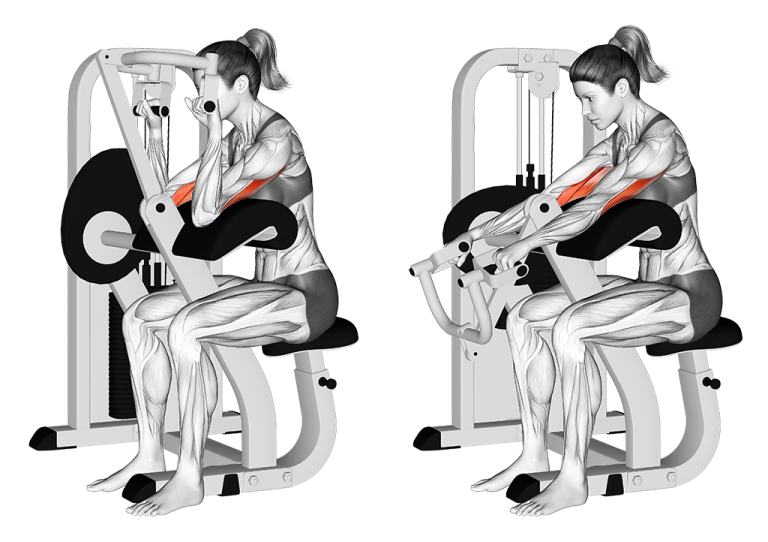 9 Great Triceps Pushdown Alternatives to Maximize Gains - Inspire US