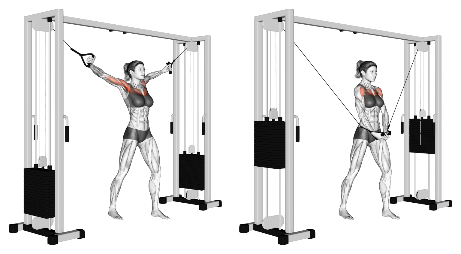 6 Best Cable Fly Alternatives (with Pictures!) - Inspire US