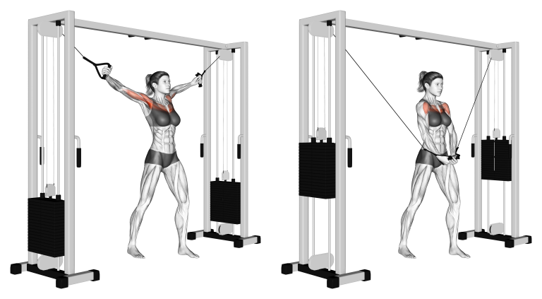 7 Best Cable Flyes Variations (with Pictures!) - Inspire US