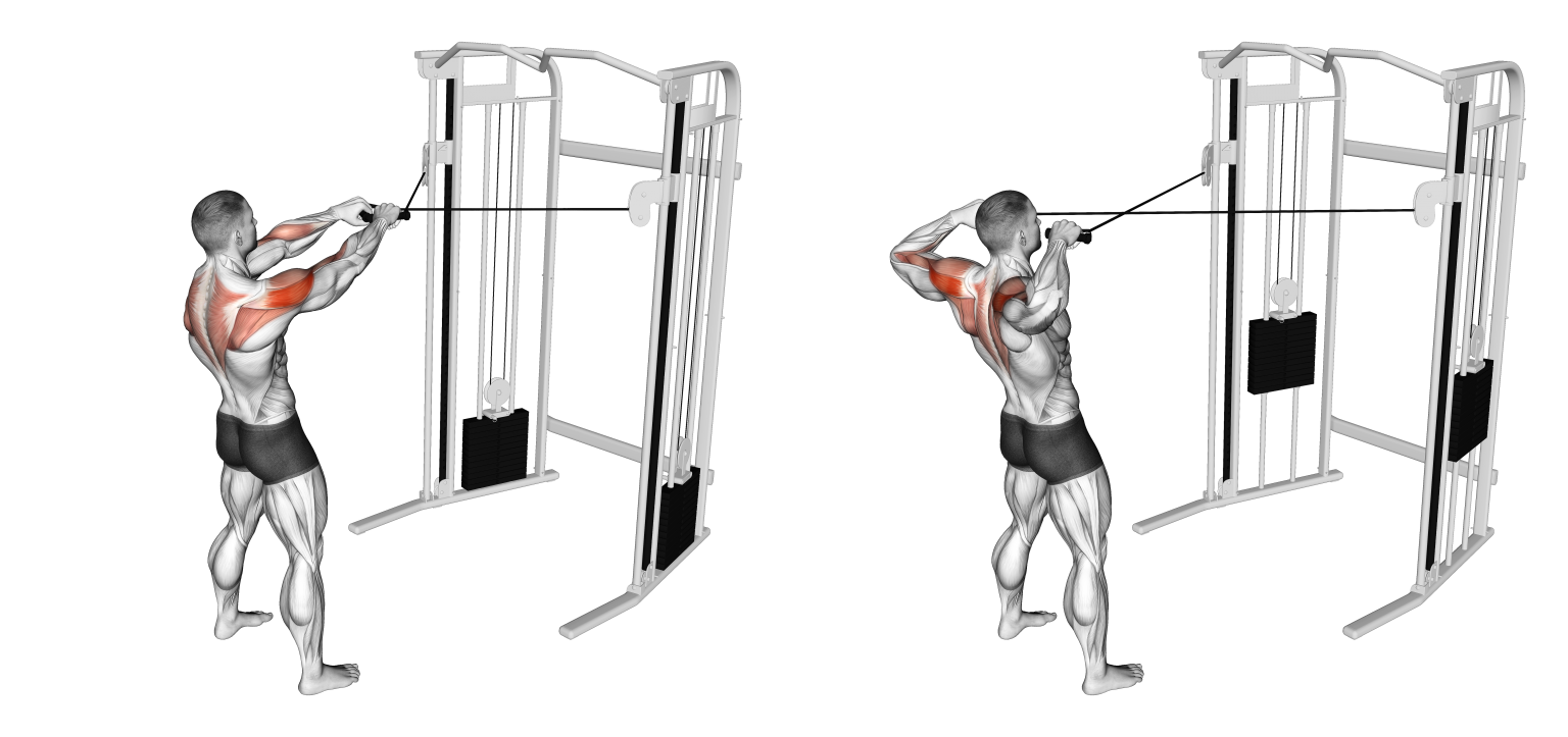 10 Best Upper Body Pull Exercises (with Pictures!) - Inspire US