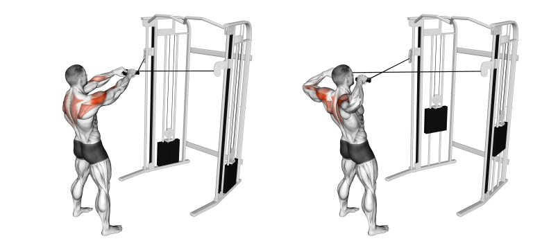 6 Best Horizontal Pull Exercises (with Pictures!) - Inspire US