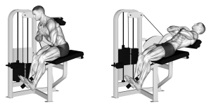 Back Extension: Benefits, Muscles Worked, and More - Inspire US