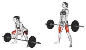 12 Best Lower Body Pulling Exercises (with Pictures!) - Inspire US
