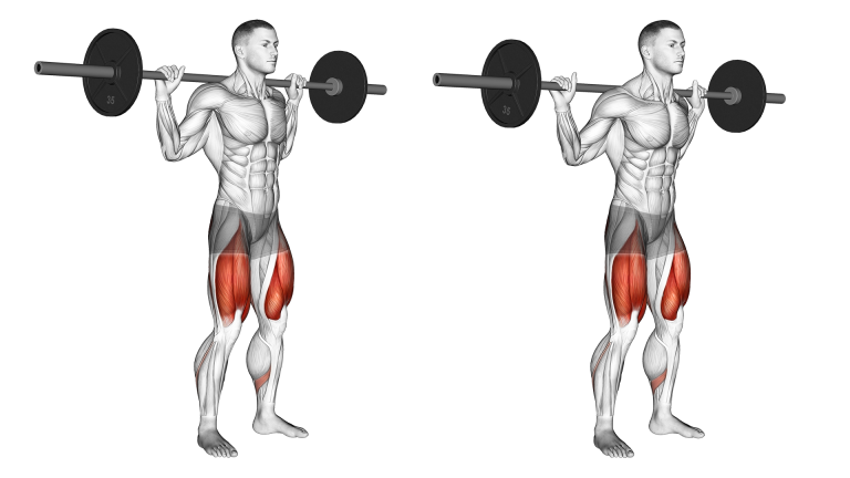 Low Bar vs High Bar Squat: 6 Major Differences Explained - Inspire US