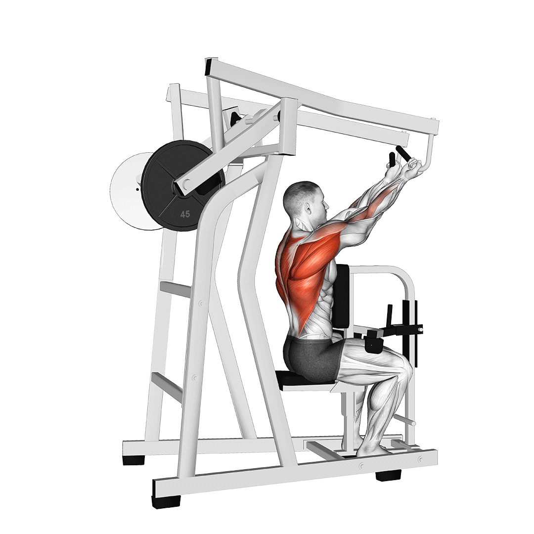 Iso Lateral Lat Pulldown Muscle D Farmihomie