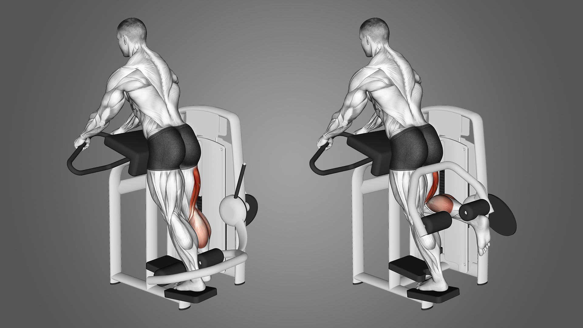 Hamstring Leg Curls Benefits Muscles Used And More With Pictures