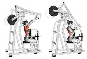 7 Best High Row Machine Alternatives (with Pictures!) - Inspire US