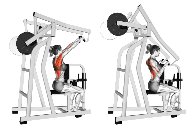 7 Best High Row Machine Alternatives (with Pictures!) - Inspire US