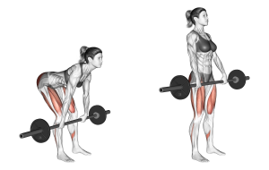 12 Best Lower Body Pulling Exercises (with Pictures!) - Inspire US