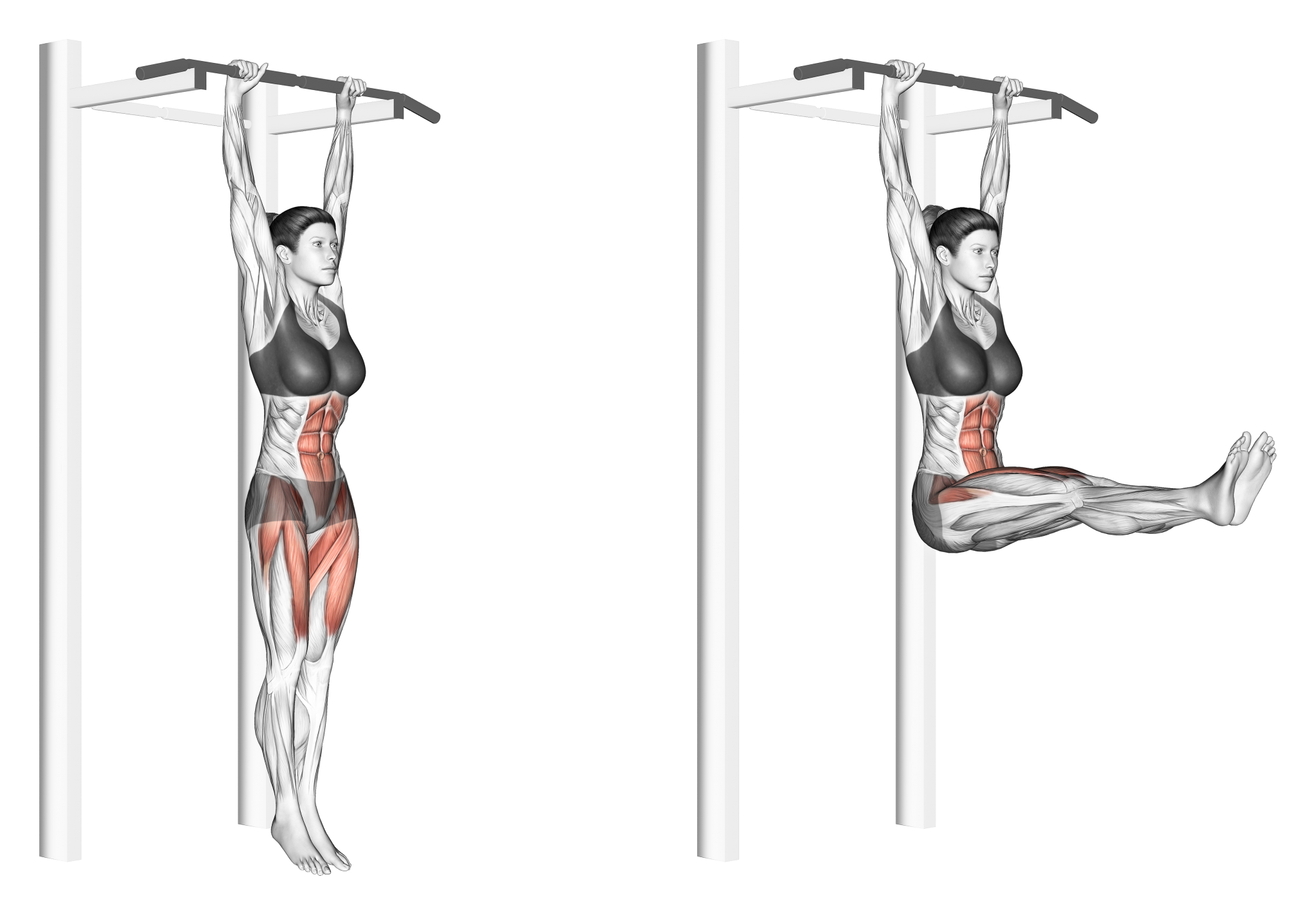 4 Effective Hanging Leg Raise Alternatives (With Pictures!) - Inspire US