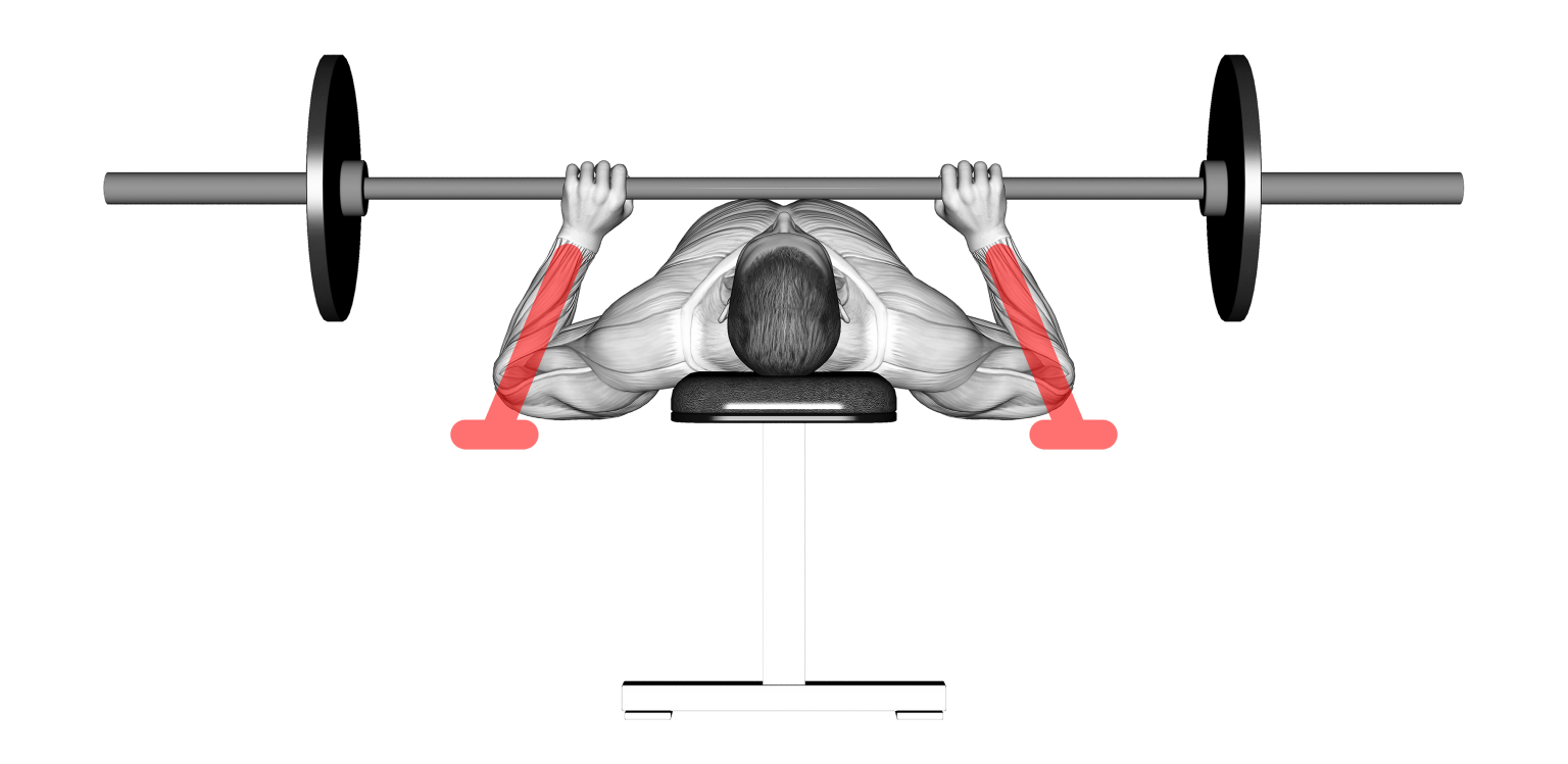 Bench Press Bar Path: Proper Form Cues and More - Inspire US