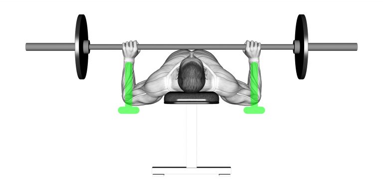Bench Press Bar Path: Proper Form Cues and More - Inspire US