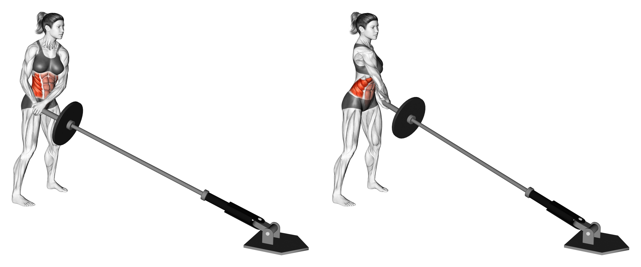 Wood Chop Exercise Alternatives: How to Target the Obliques - Inspire US