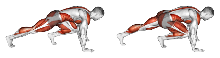 Step Up Alternatives: 4 Best Substitutes - Inspire US