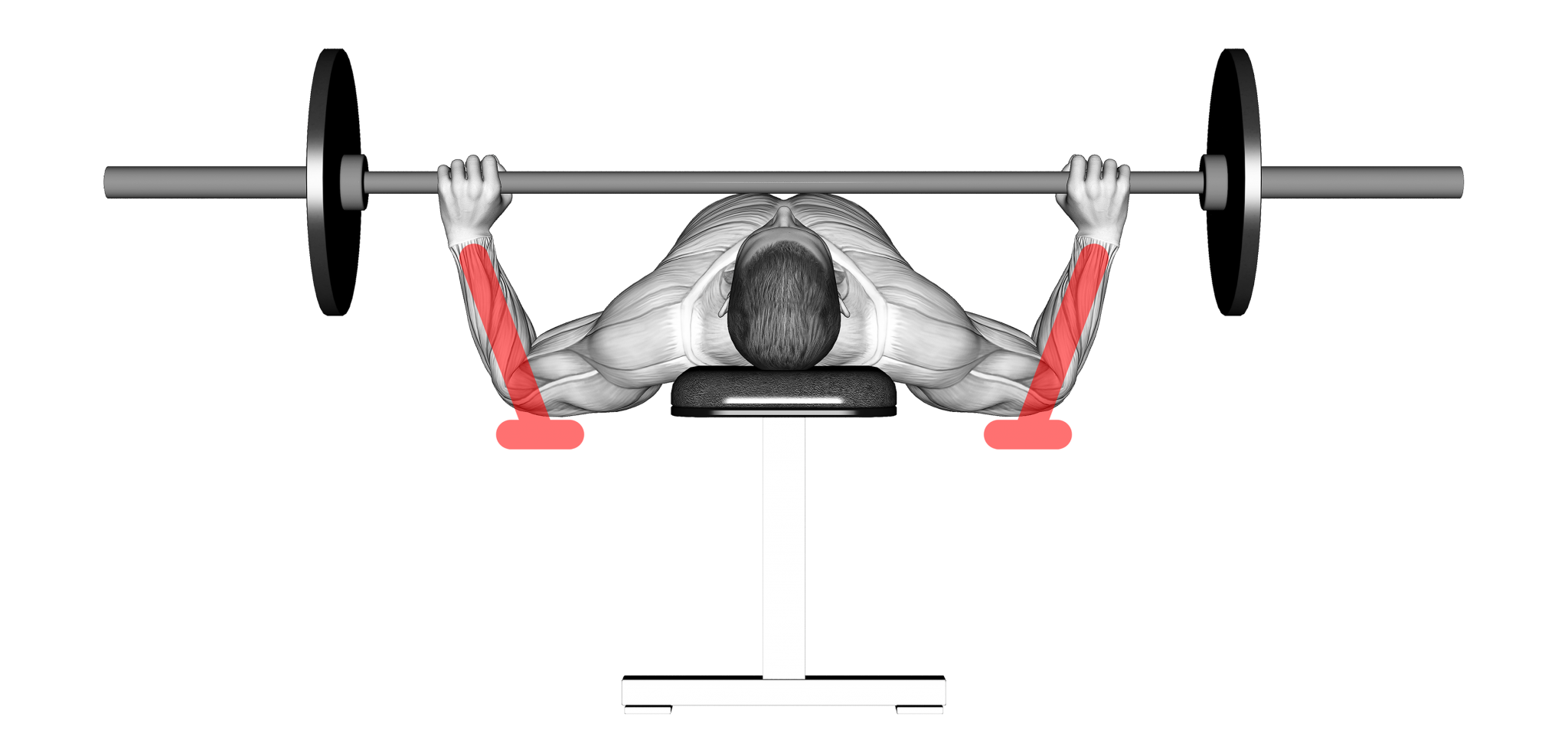 Bench Press Bar Path: Proper Form Cues and More - Inspire US