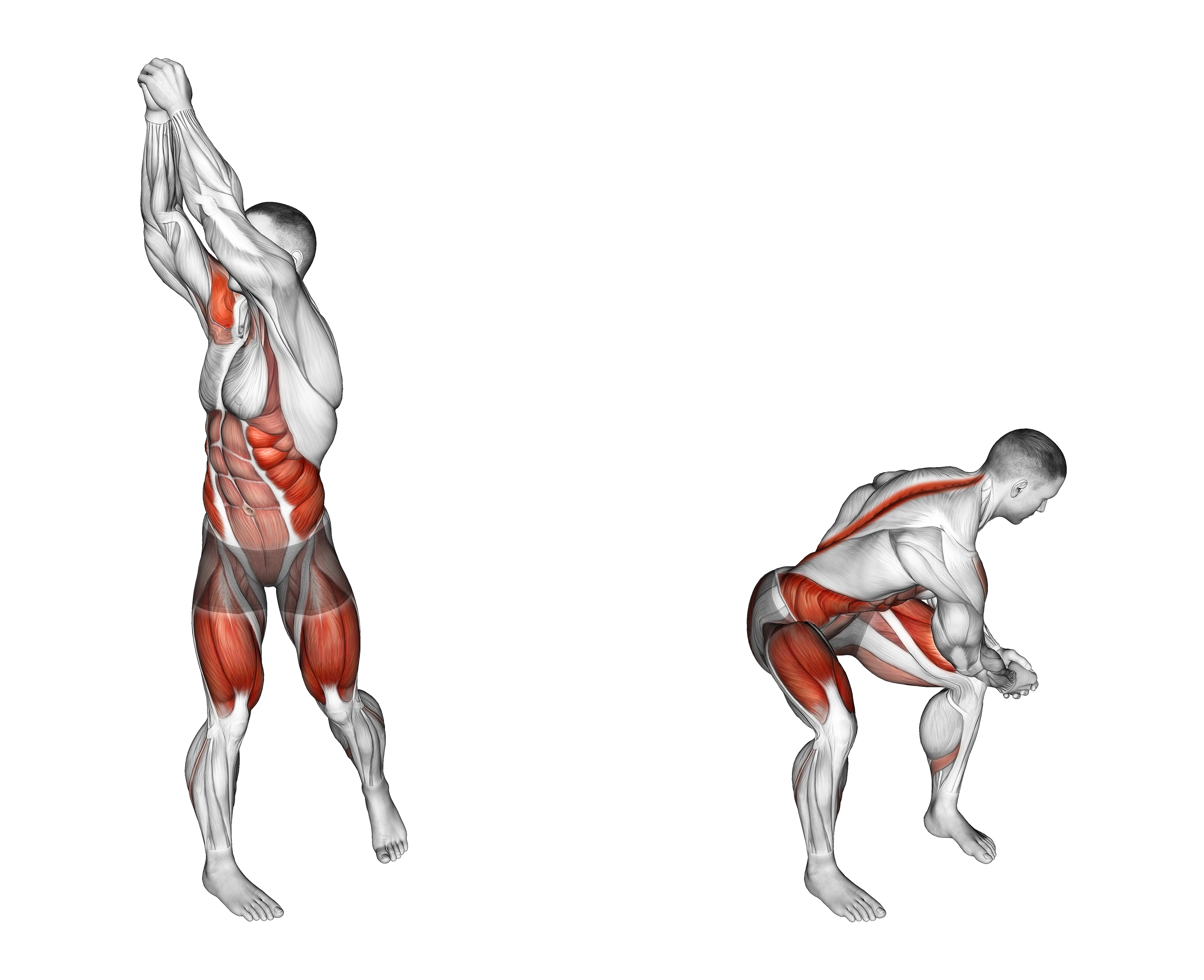 Wood Chop Exercise Alternatives: How to Target the Obliques - Inspire US