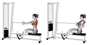 Cable Machine Rows: Muscles Worked and More - Inspire US