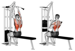 Do Lat Pulldowns Target the Biceps? YES, Here's How - Inspire US