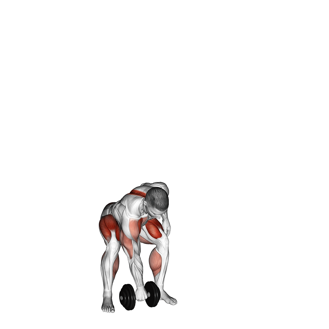 Renegade Row Alternatives: 7 Best Substitutes - Inspire US