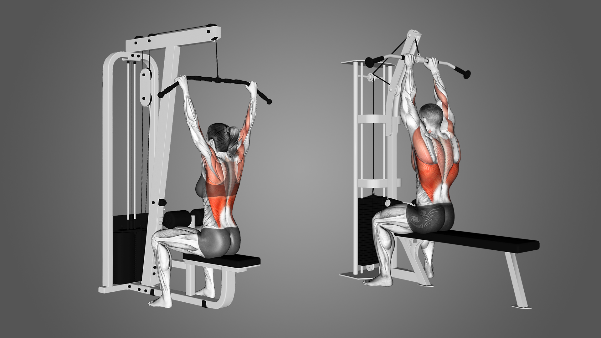 Lat Pulldown Machine Exercises Attachments And Alternatives Explained