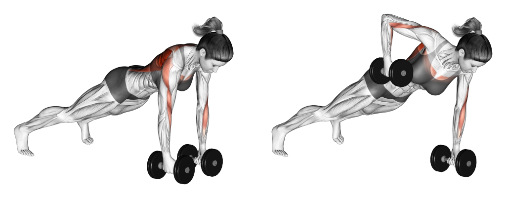 Renegade Row Alternatives: 3 Best Substitutes - Inspire US