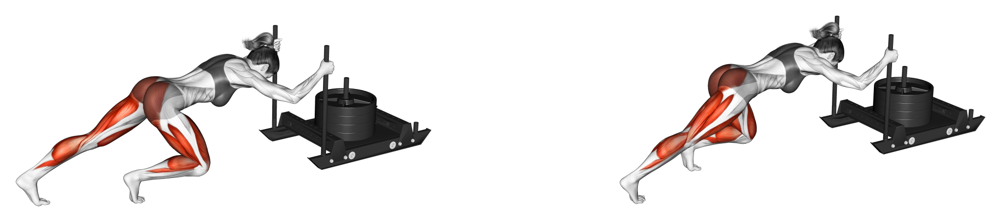 Sled Push: Benefits, Muscles Worked, and More - Inspire US