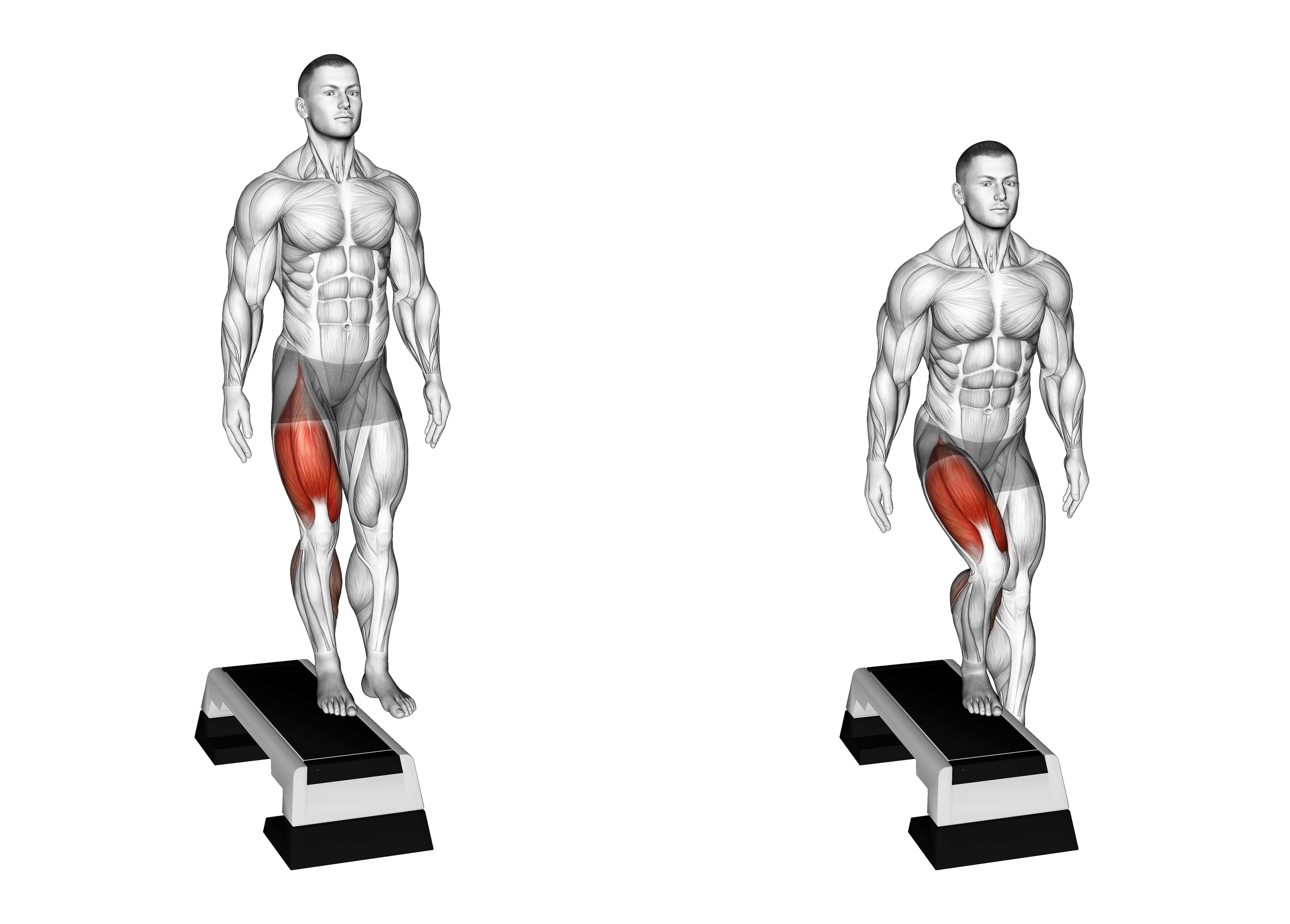 Step Up Alternatives: 4 Best Substitutes - Inspire US