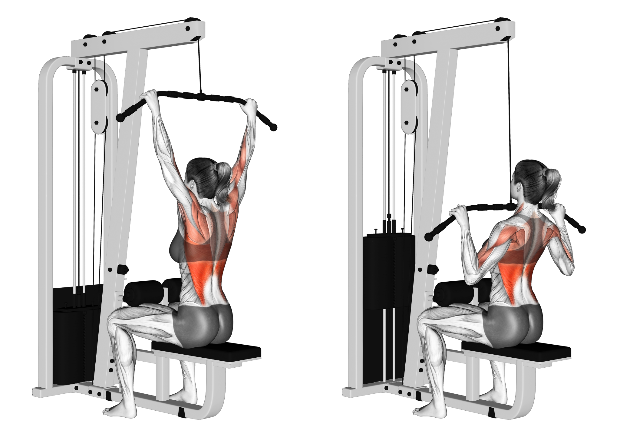 The Lat Pulldown: Benefits, Muscles Worked, Etc. - Inspire US