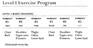 Arnold Split vs PPL (Push/Pull/Legs): Differences Explained - Inspire US