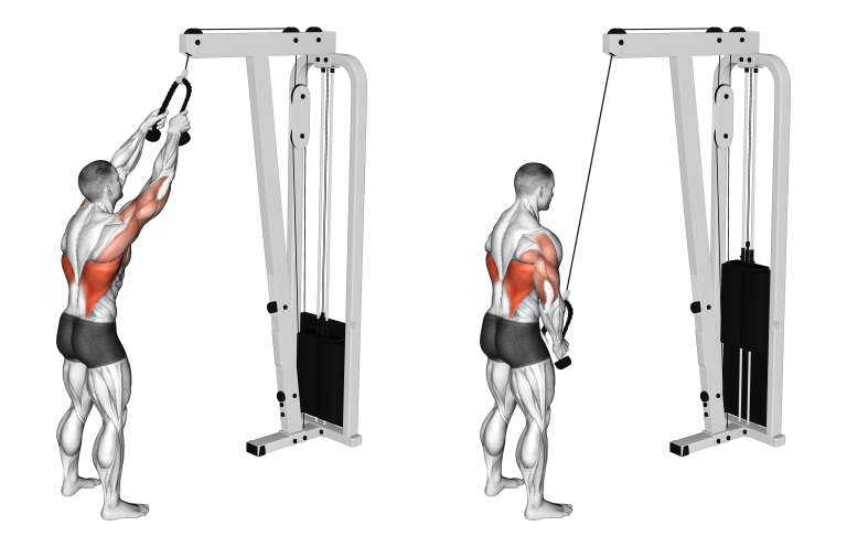 7 Cable Pullover Alternatives (with Pictures!) - Inspire US