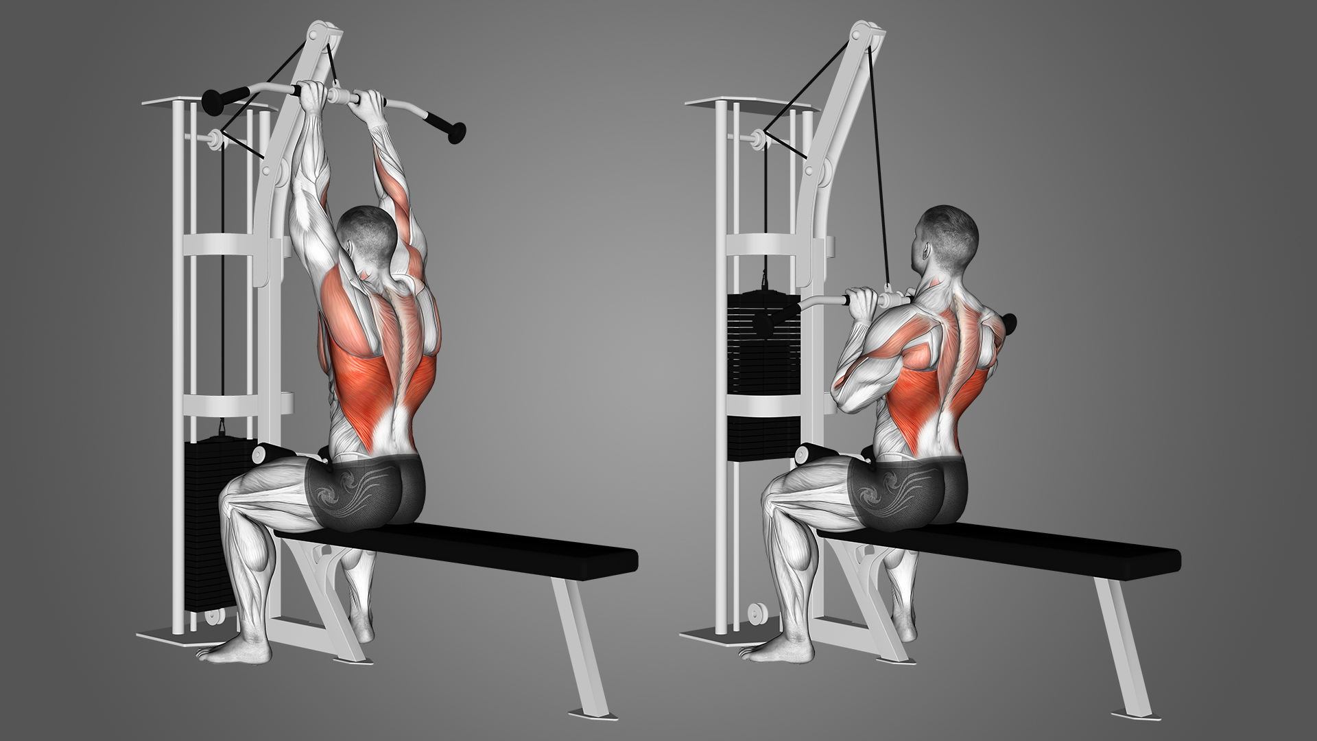 Do Lat Pulldowns Target The Biceps YES Here s How Inspire US