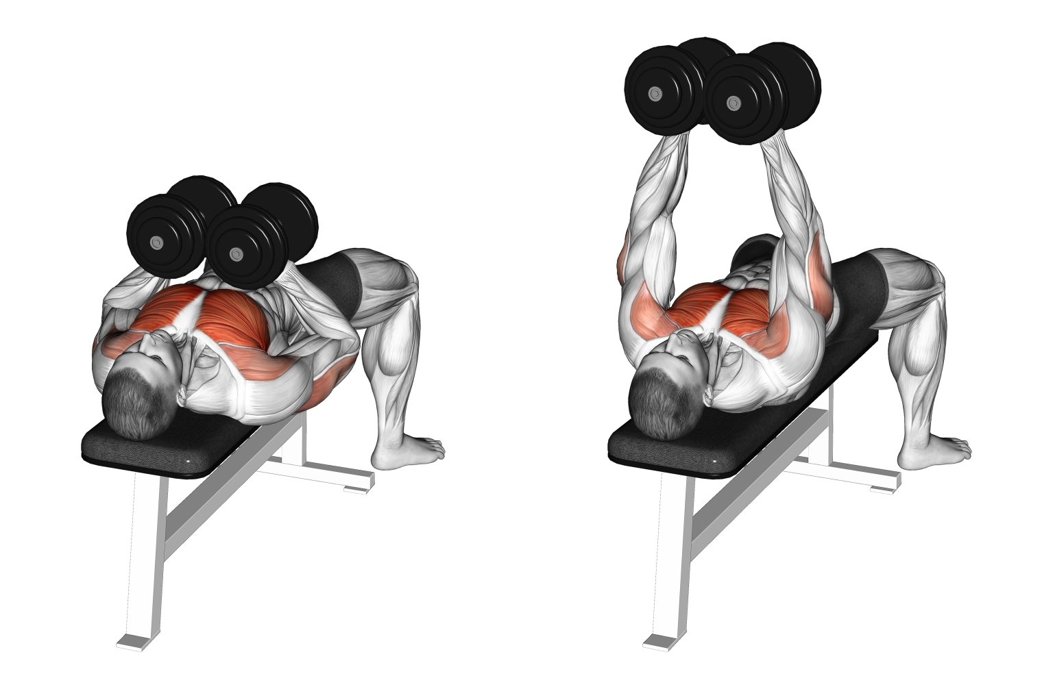 Hex Press: What it is, Muscles Worked, and Benefits - Inspire US