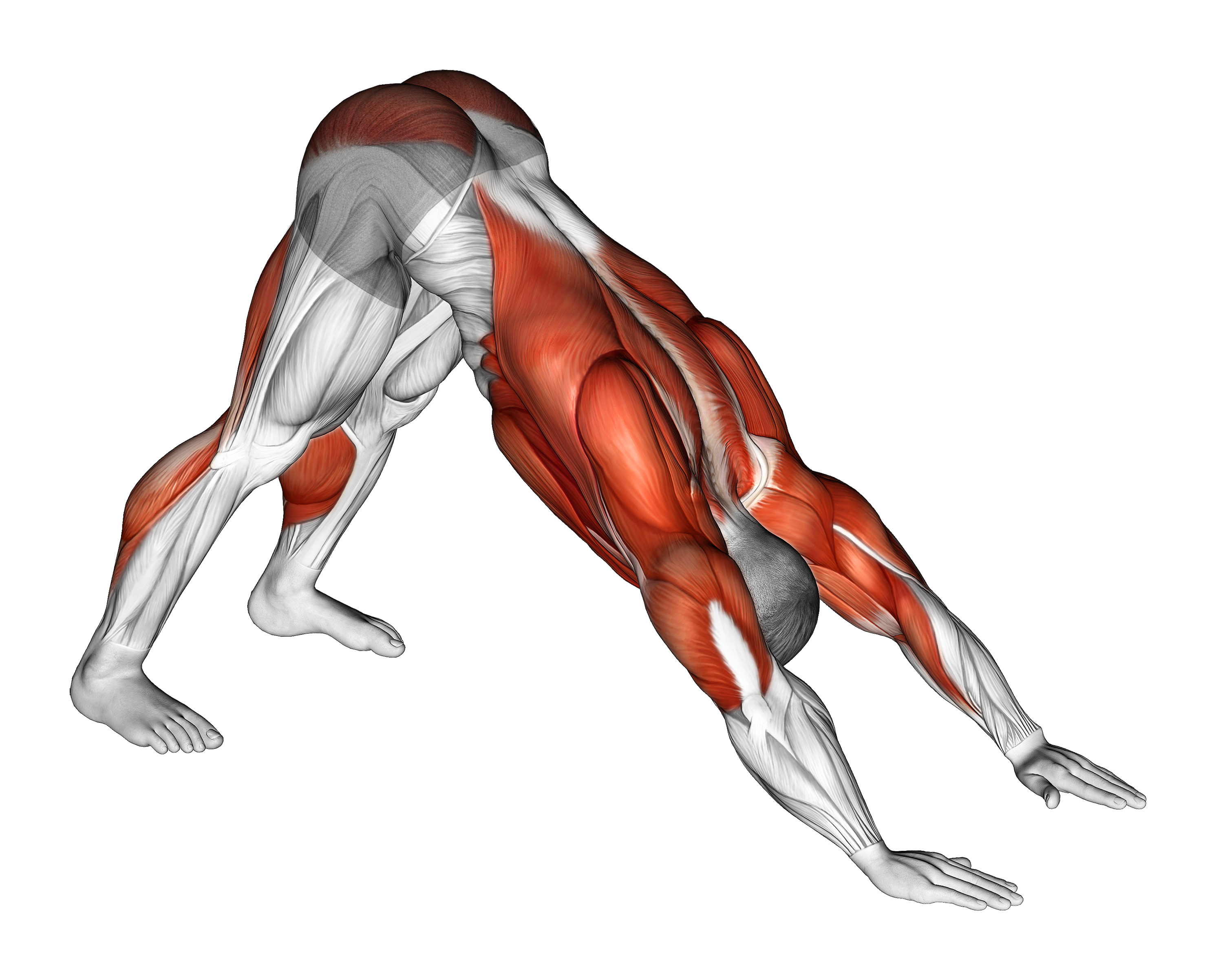 Gymnastics Warm Up: Stretches, Exercises, Cardio, and More - Inspire US