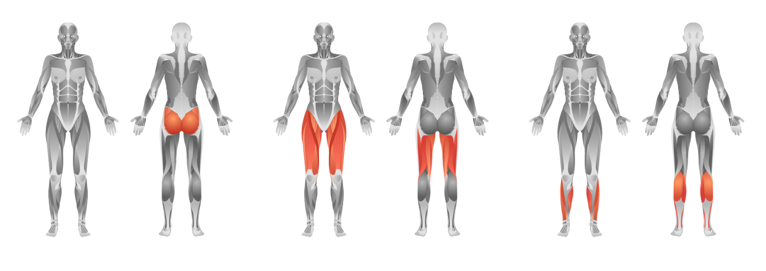 7 Best Lower Body Compound Exercises (with Pictures!) - Inspire US