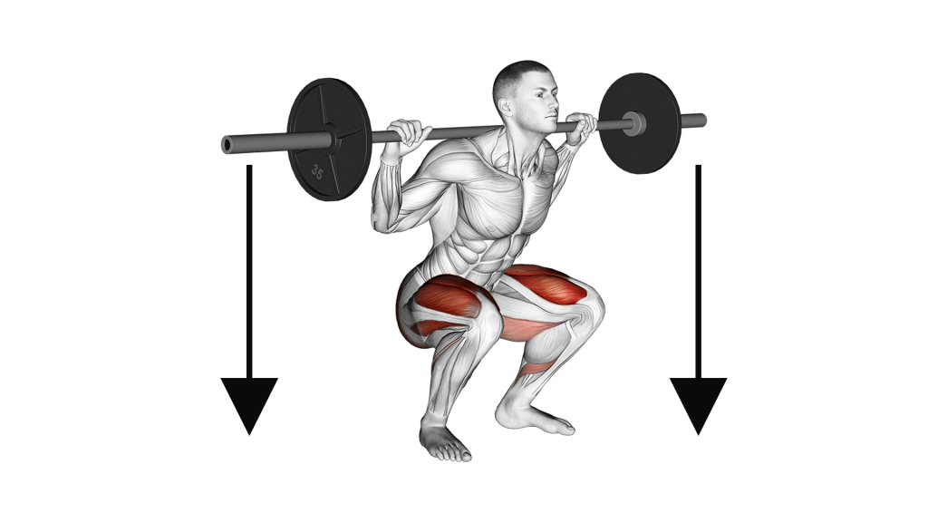 Negative (Eccentric) Squat: Benefits, Muscles Used, More - Inspire US