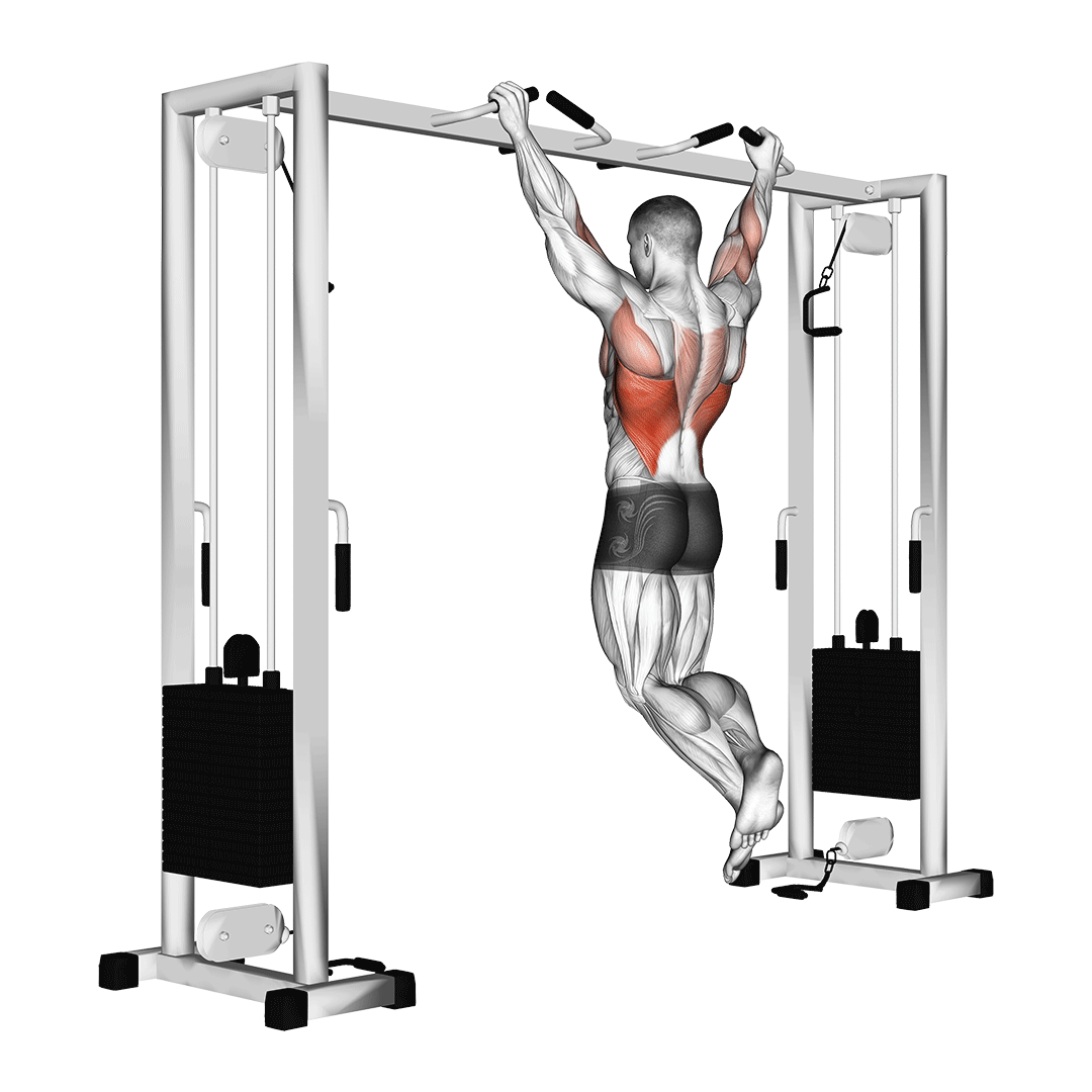 Best Pull up Alternatives For Big Gains With Pictures Inspire US 