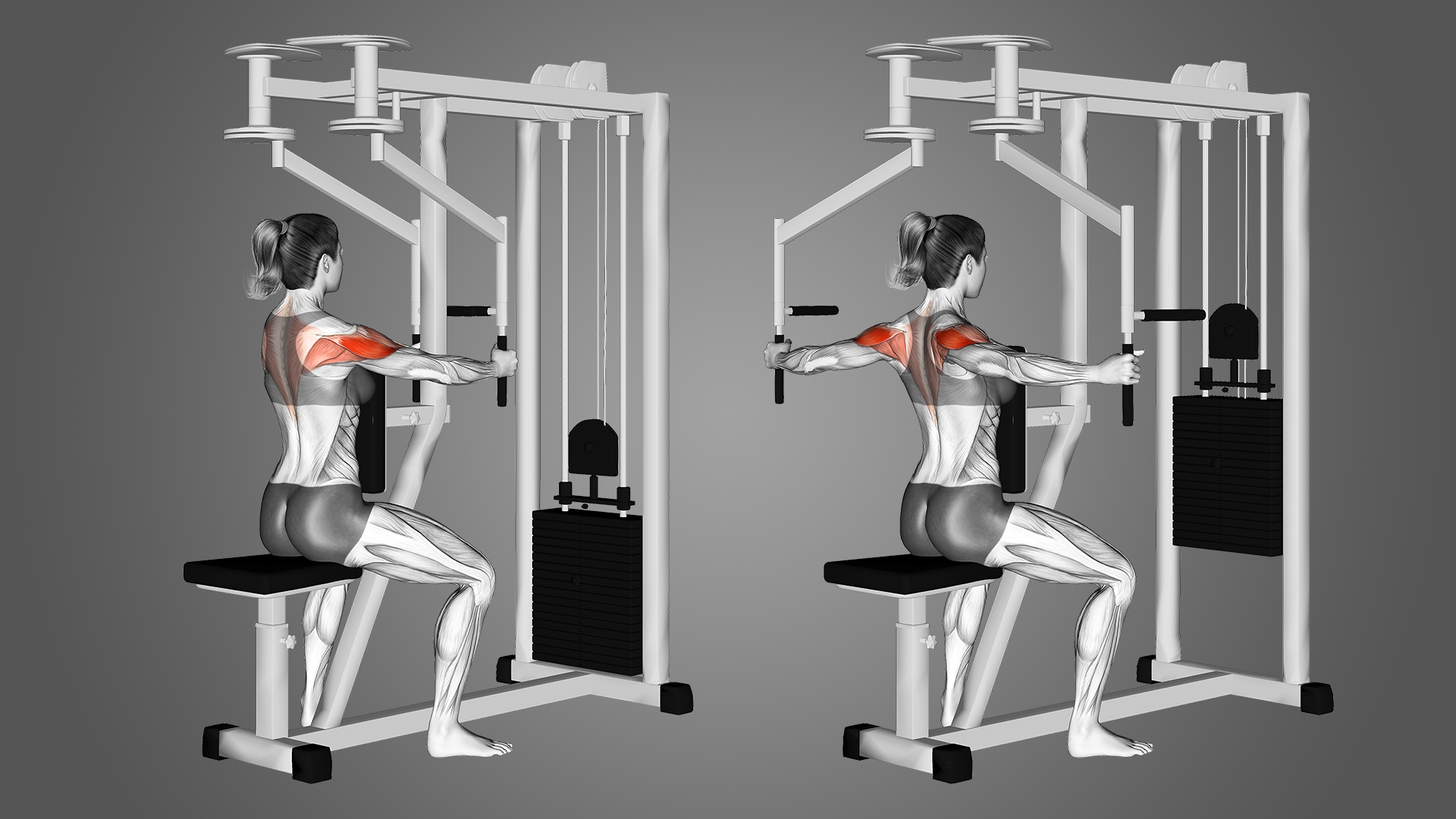 5 Best Reverse Pec Deck Alternatives For Bigger Shoulders Inspire US 5 Best Reverse Pec Deck Alternatives For Bigger Shoulders Inspire US