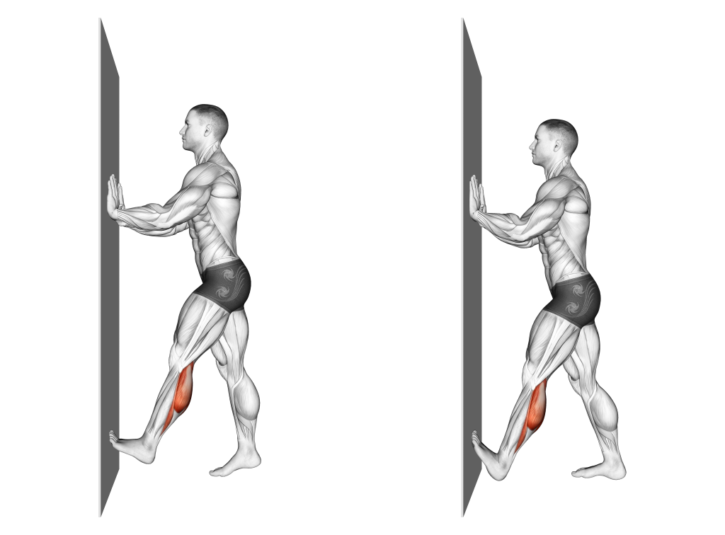 Warming Up For The Squat: Stretches, Exercises, and More - Inspire US