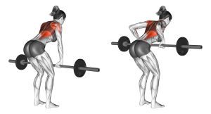 6 Best Horizontal Pull Exercises (with Pictures!) - Inspire US