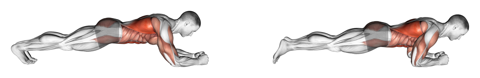 Body Saw Plank: Benefits, Muscles Worked, and More - Inspire US