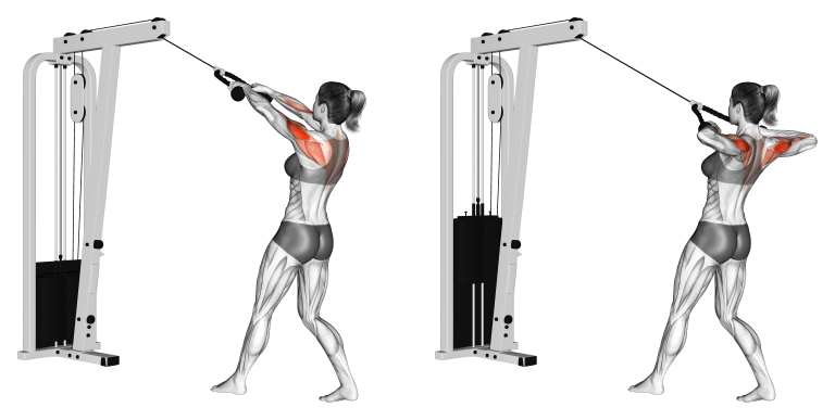 Cable Rear Delt Row: Benefits, Muscles Worked, and More - Inspire US