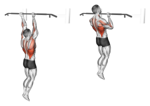 6 Best Vertical Pull Exercises (with Pictures!) - Inspire US