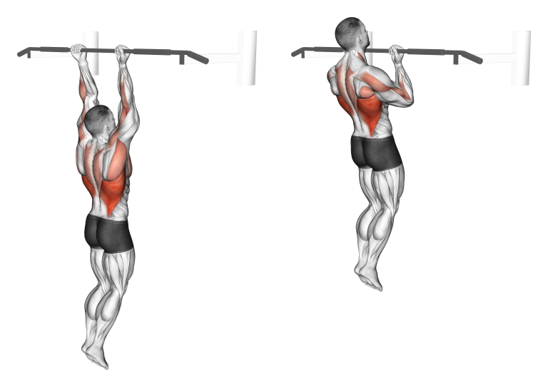 6 Best Vertical Pull Exercises (with Pictures!) - Inspire US