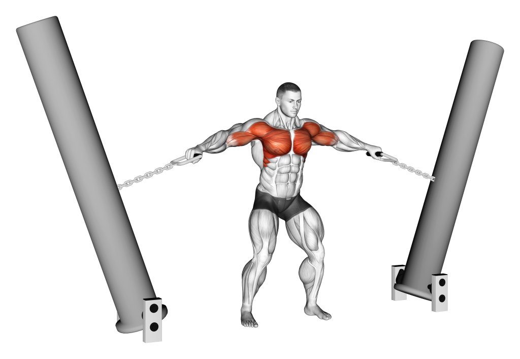 Hercules Hold: Benefits, Muscles Used, More - Inspire US