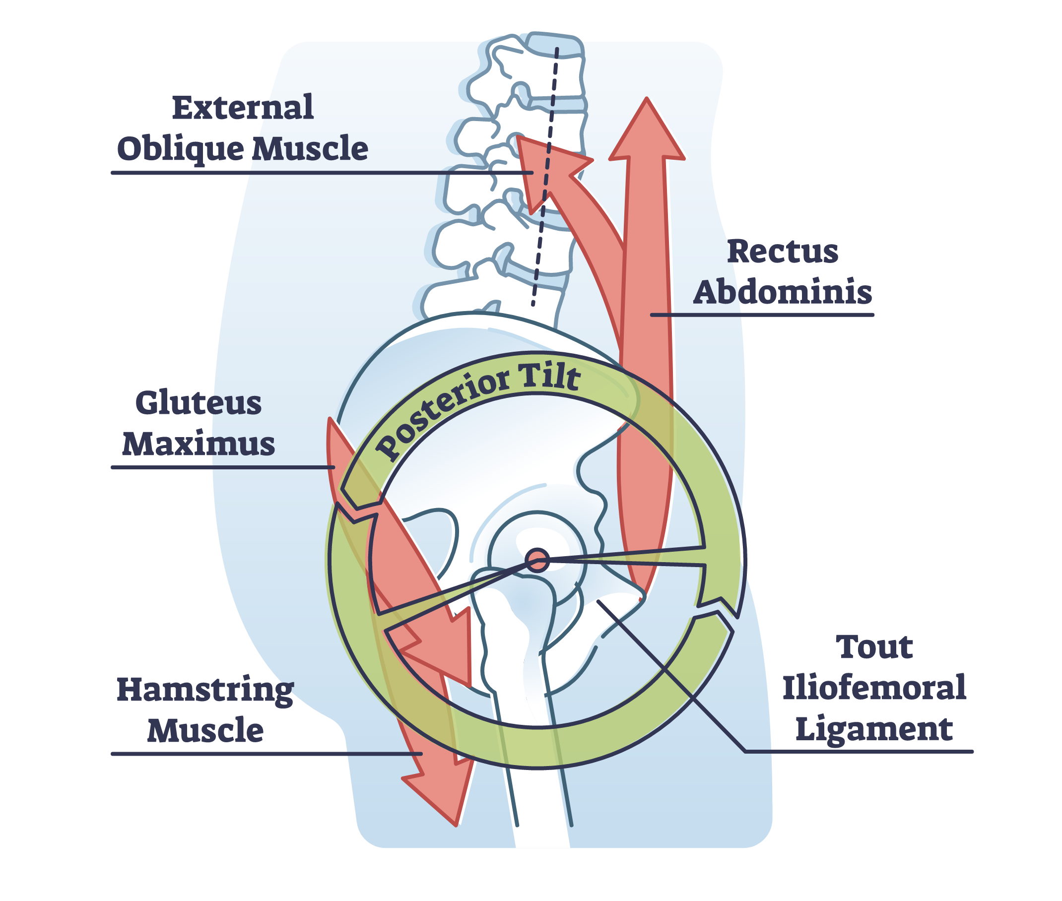 Kettlebell Swing Lower Back Pain: 8 Possible Reasons - Inspire US