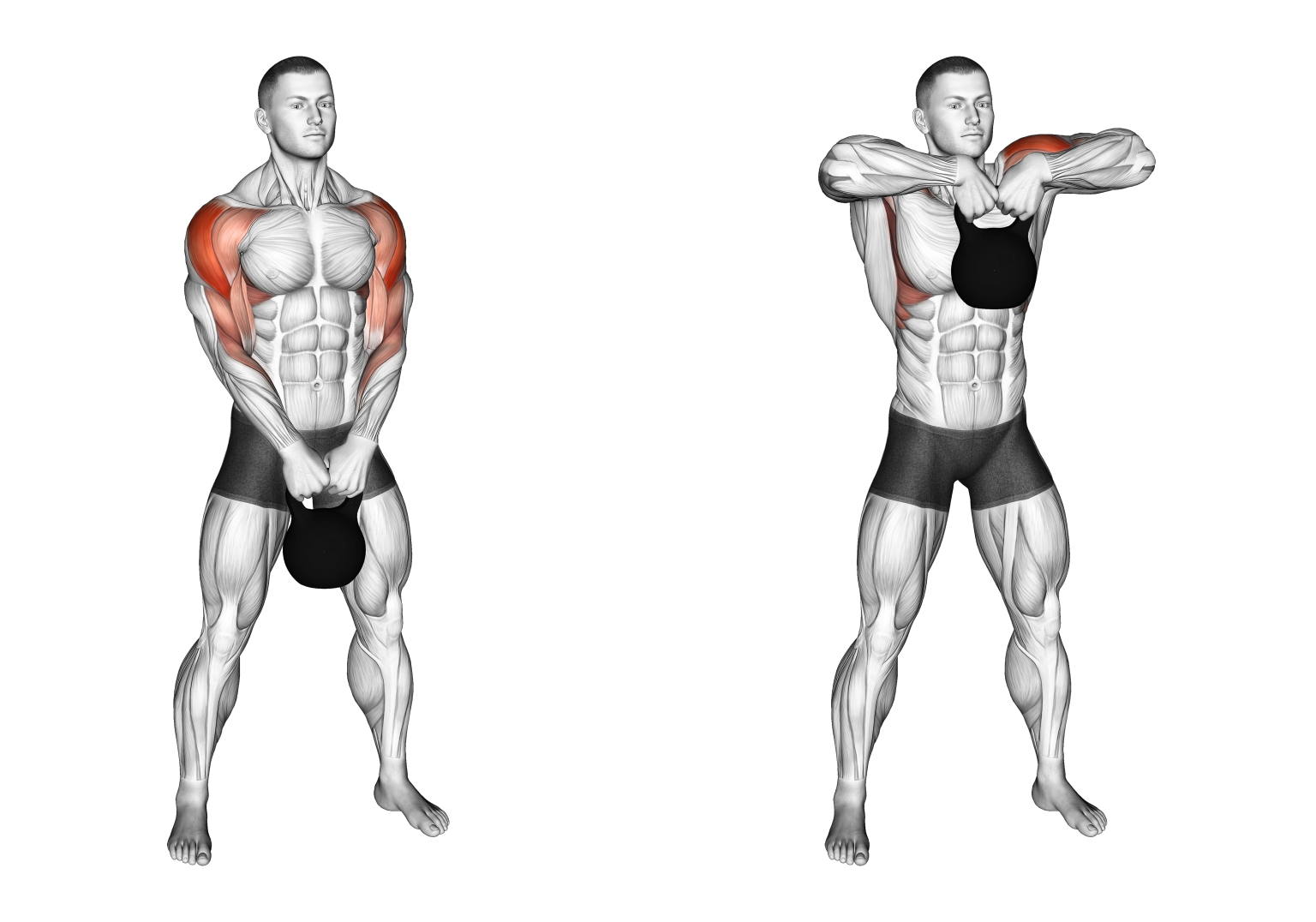 Upright Row Benefits Muscles Worked And More Inspire US