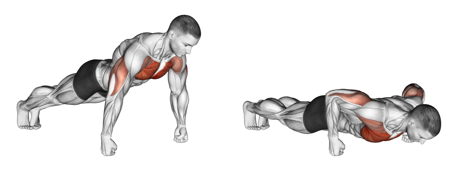 Knuckle Push-Ups: Benefits, Muscles Used, and More - Inspire US
