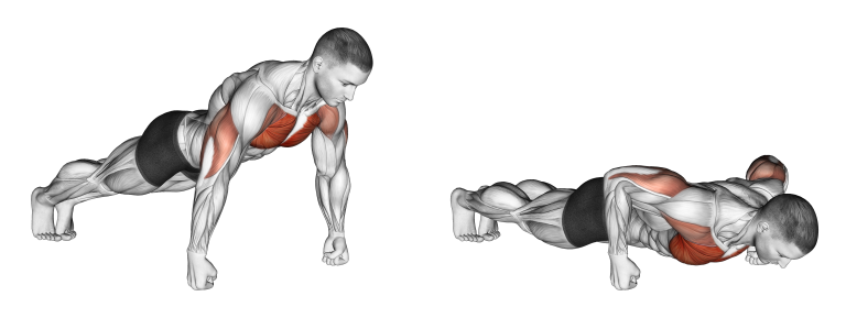 Knuckle Push-Ups: Benefits, Muscles Used, and More - Inspire US